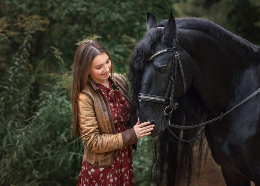 Dressage du cheval Frison: conseils pour un dressage réussi